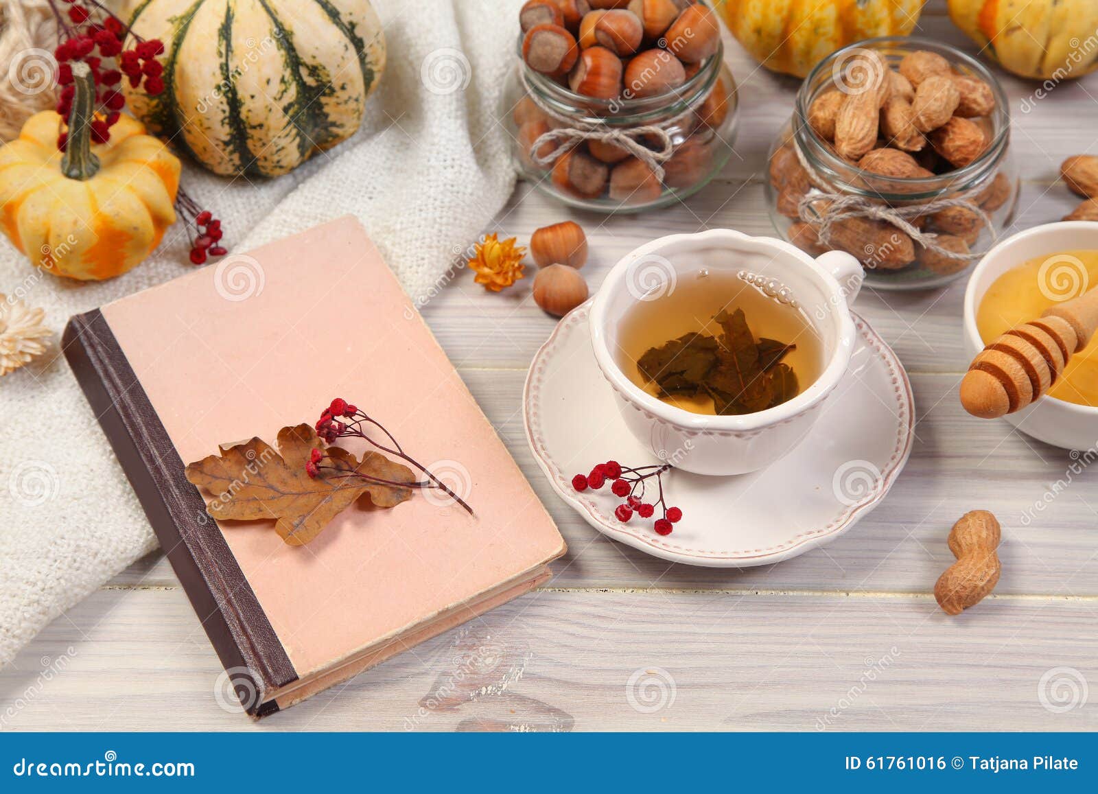 Refreshment stock photo. Image of table, hazel, nutshell - 61761016