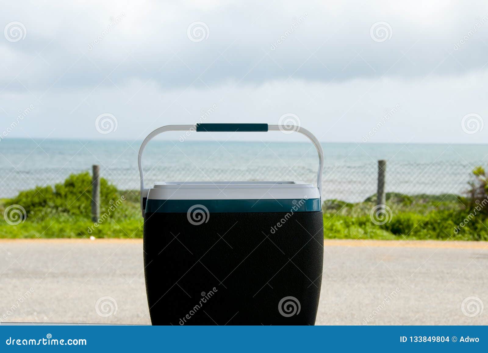 Refrigerador De La Comida Campestre De La Playa Foto de archivo ...