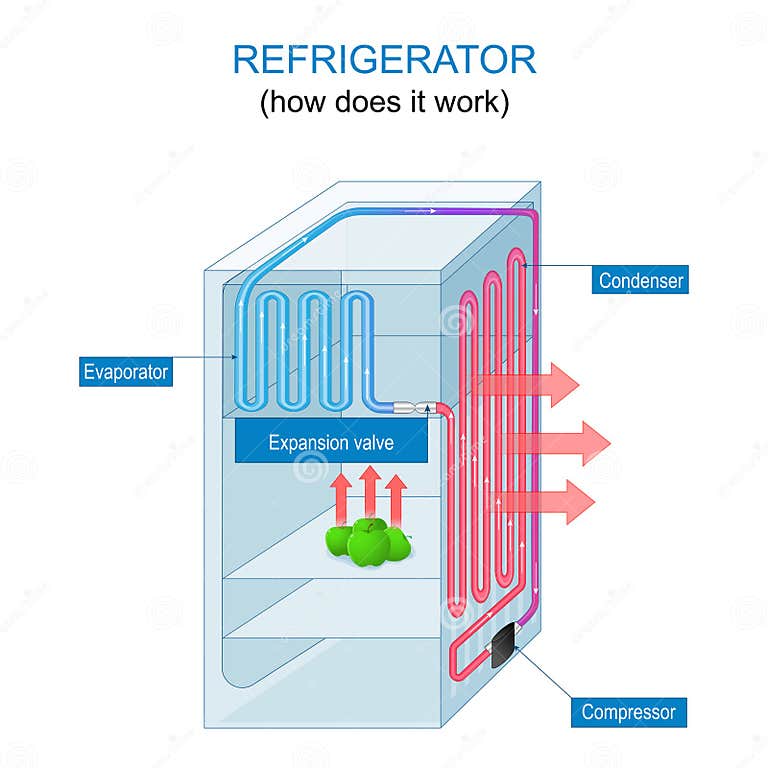Refrigerator Working Principle. How Does a Fridge Work Stock Vector ...