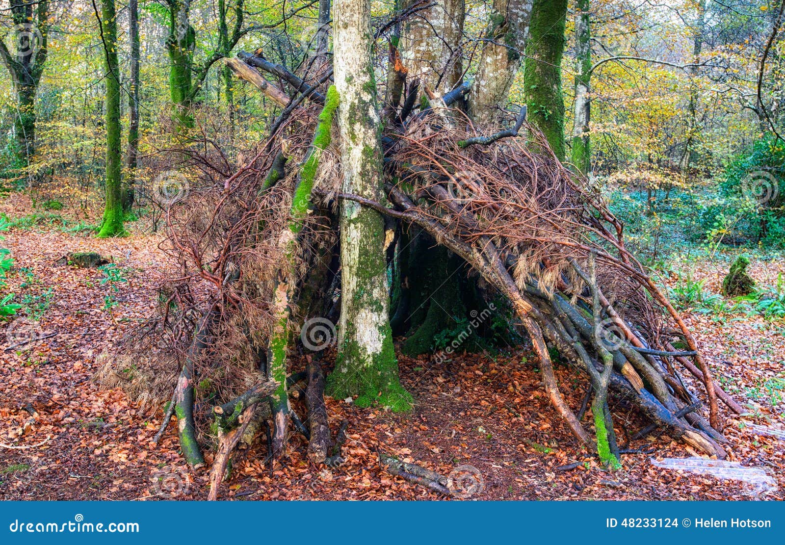 Refugio De La Supervivencia Del Arbolado Foto de archivo - Imagen de ...