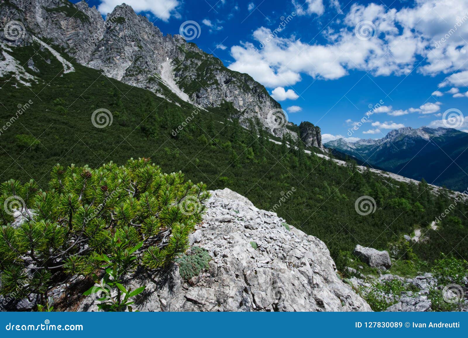 Refugio De Pacherini, Italia Imagen de archivo - Imagen de refugio ...