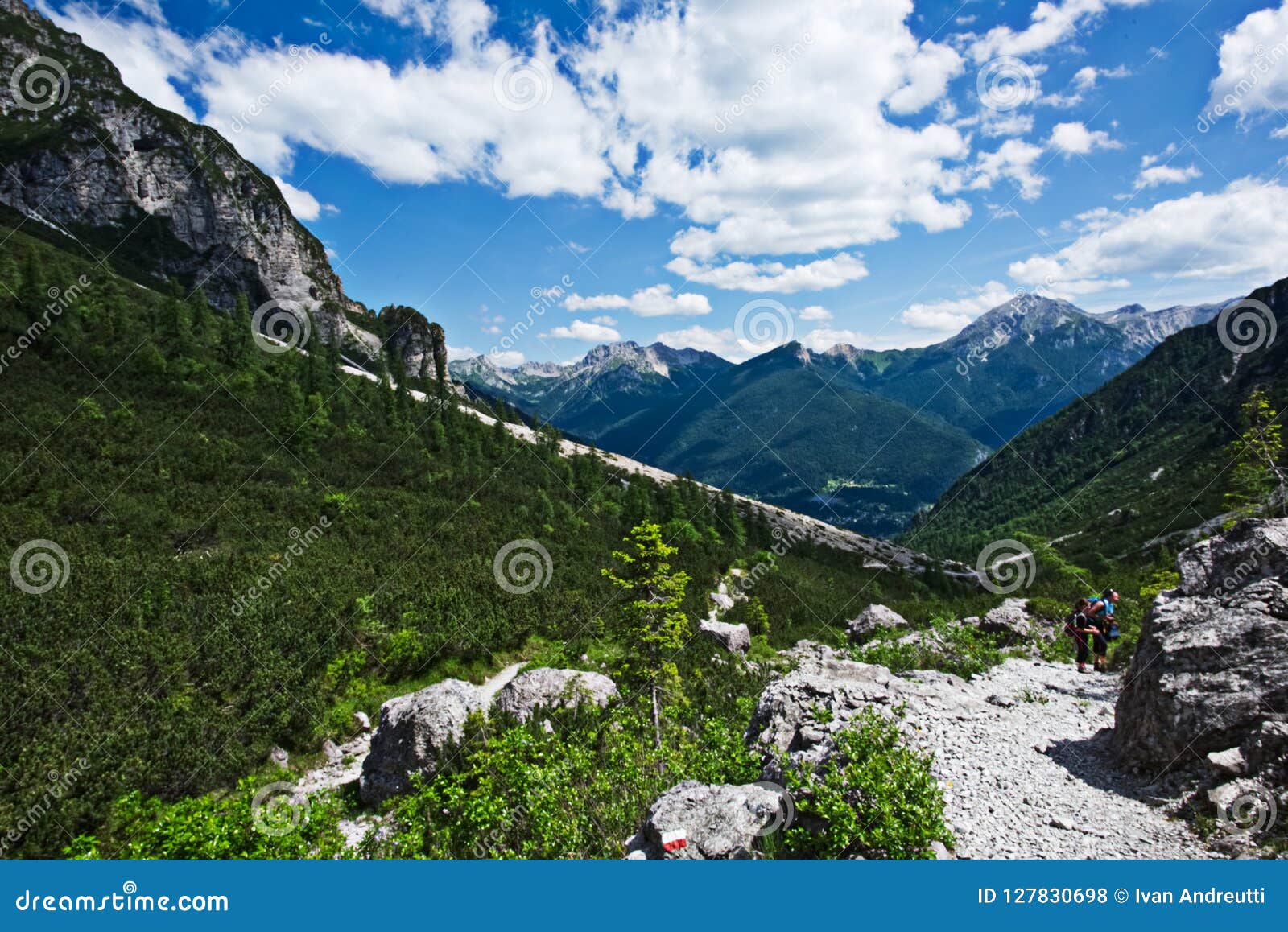 Refugio De Pacherini, Italia Foto de archivo - Imagen de verde, italia ...