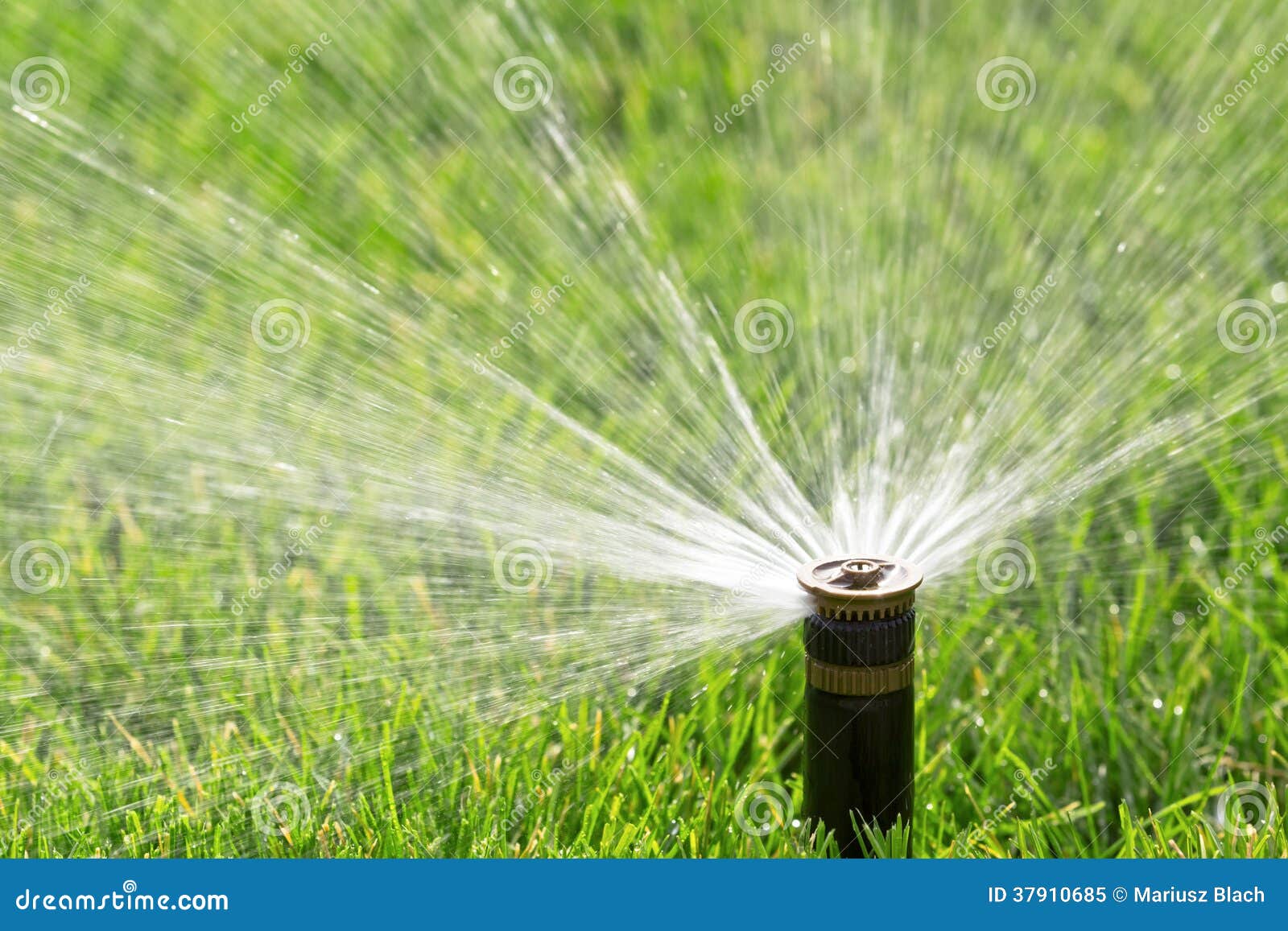 Regadera automática imagen de archivo. Imagen de asperje - 37910685