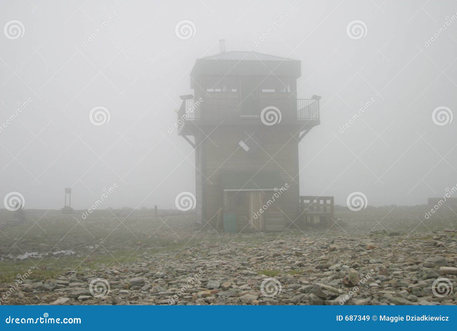 Regain image stock. Image du désert, arbre, paysage, ouvert - 687349