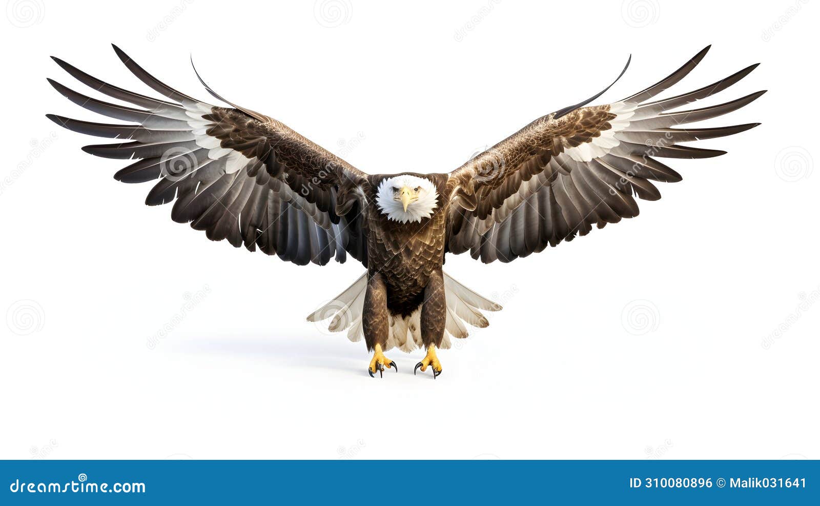 A Regal Bald Eagle with Outstretched Wings Stock Illustration - Illustration of eagle, animal ...