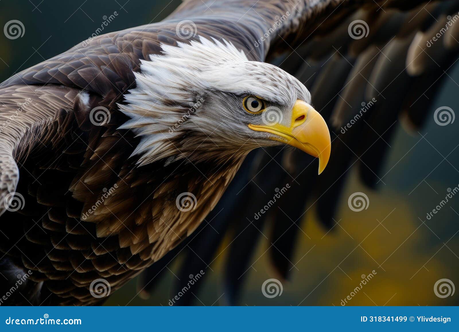 Regal Eagle Bird. Generate Ai Stock Image - Image of corvus, nature ...