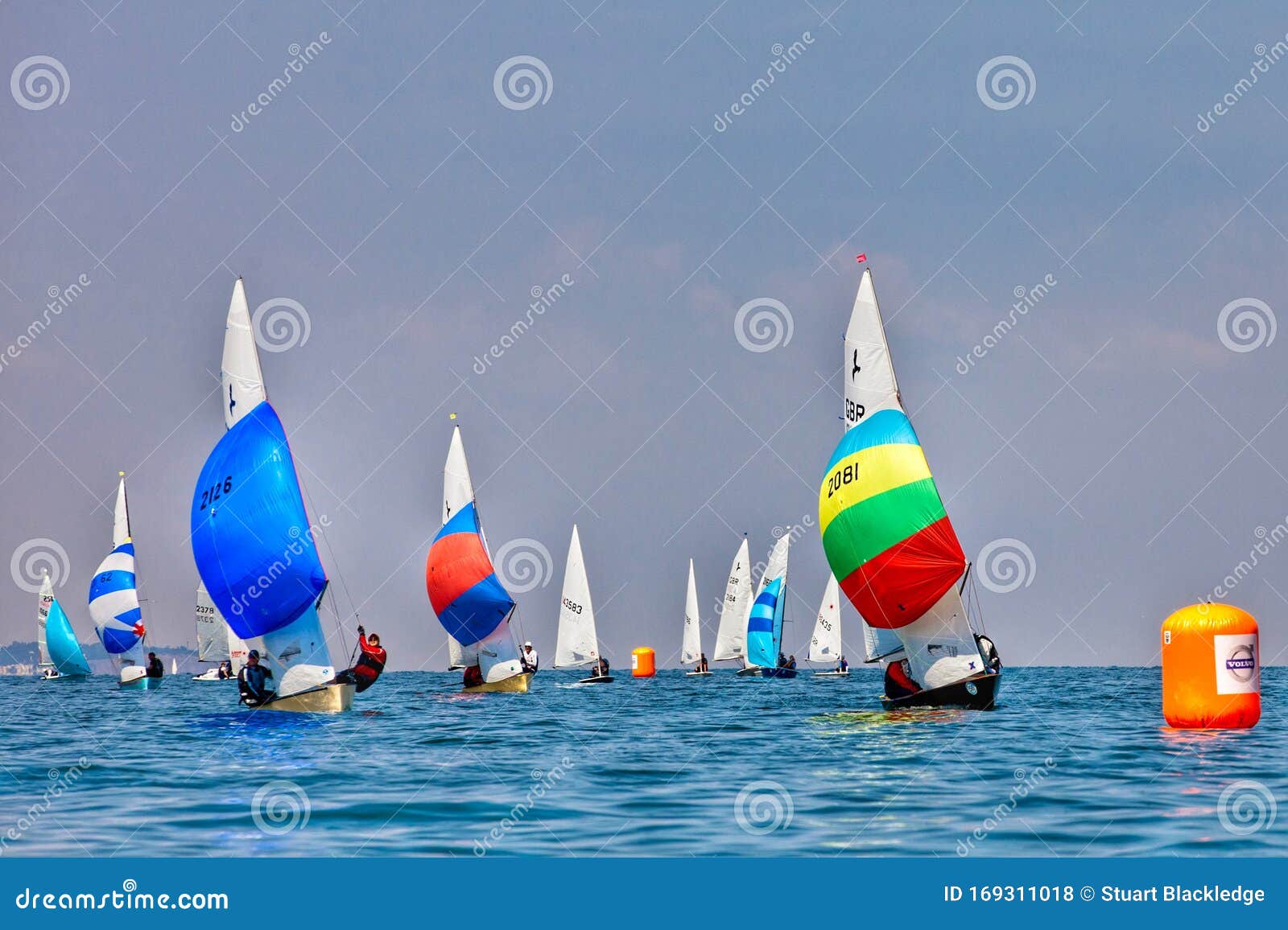 Regatta of boats editorial stock photo. Image of hornets - 169311018