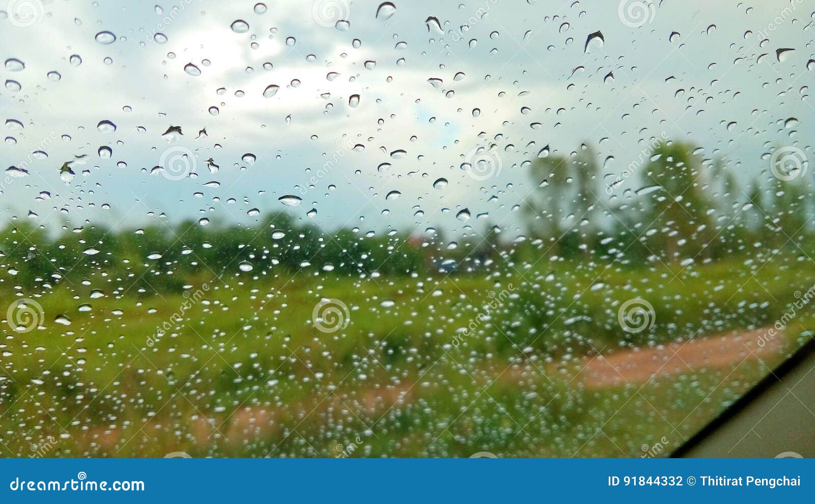 Regen stockfoto. Bild von regnerisch, gras, regen, tropfen - 91844332
