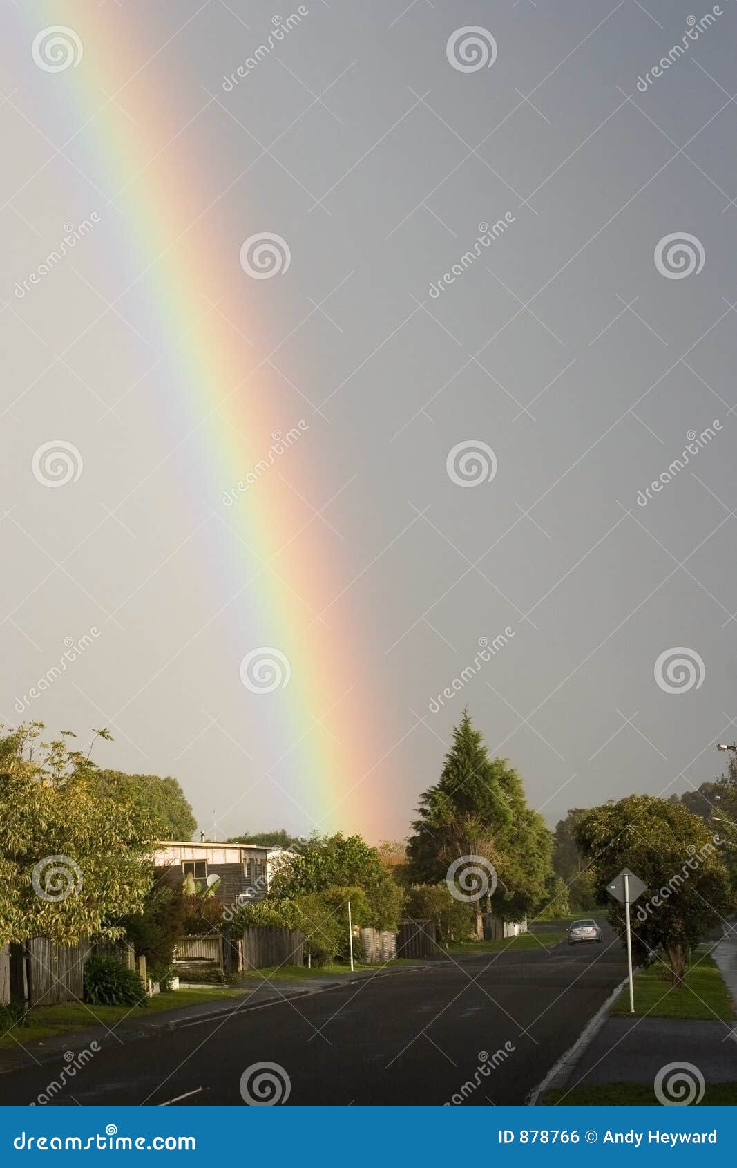 Regenboog Picture. Image: 878766