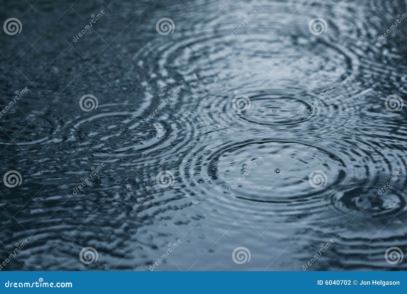 Regendruppels Stock Fotografie - Beeld: 6040702