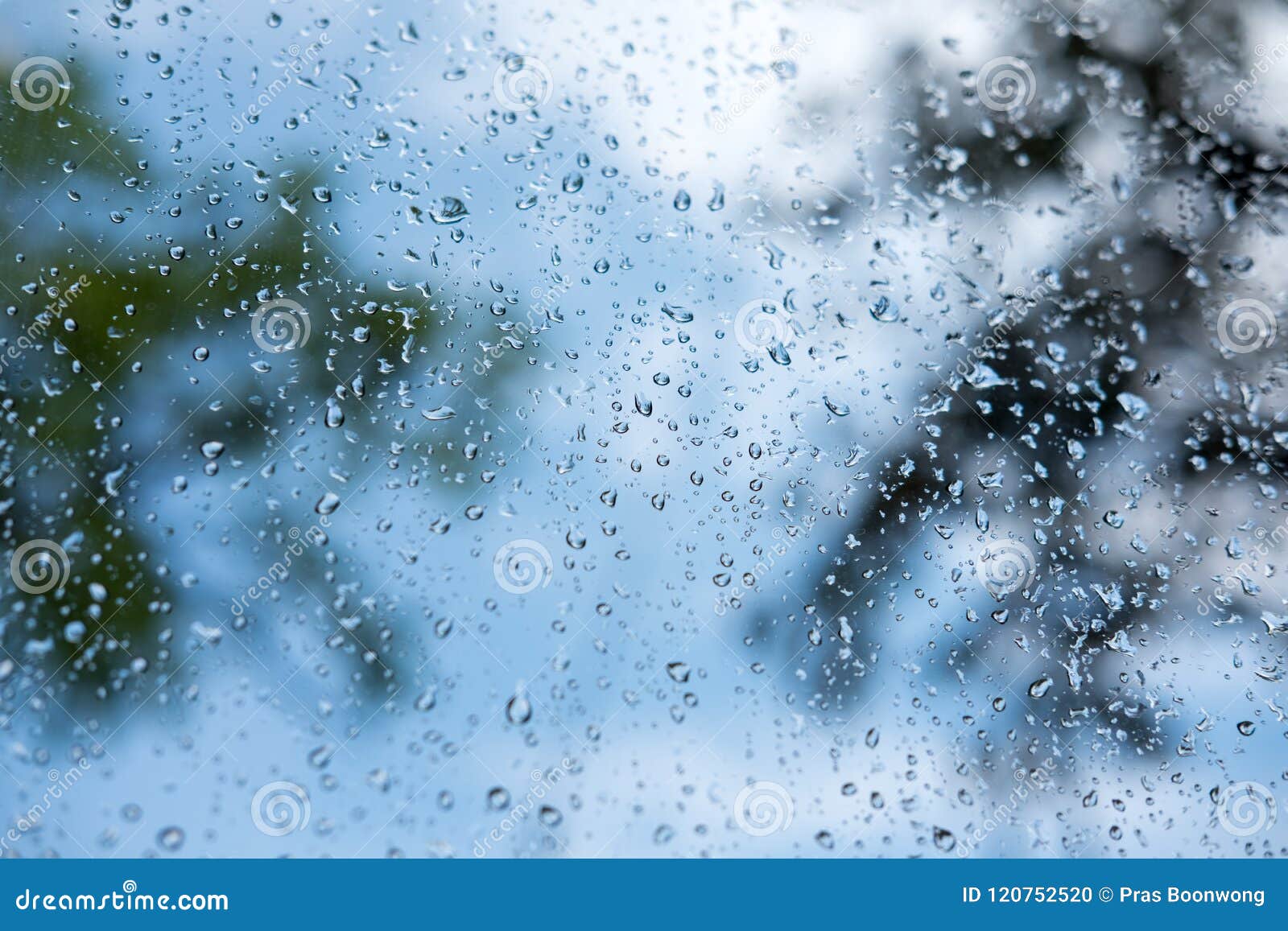 Regendruppels Buiten Het Venster Met Groene Aard Stock Foto - Image of ...