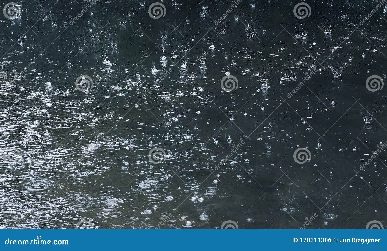 Regentropfen, Die Des Pools Fallen Stockfoto - Bild von nahaufnahme ...