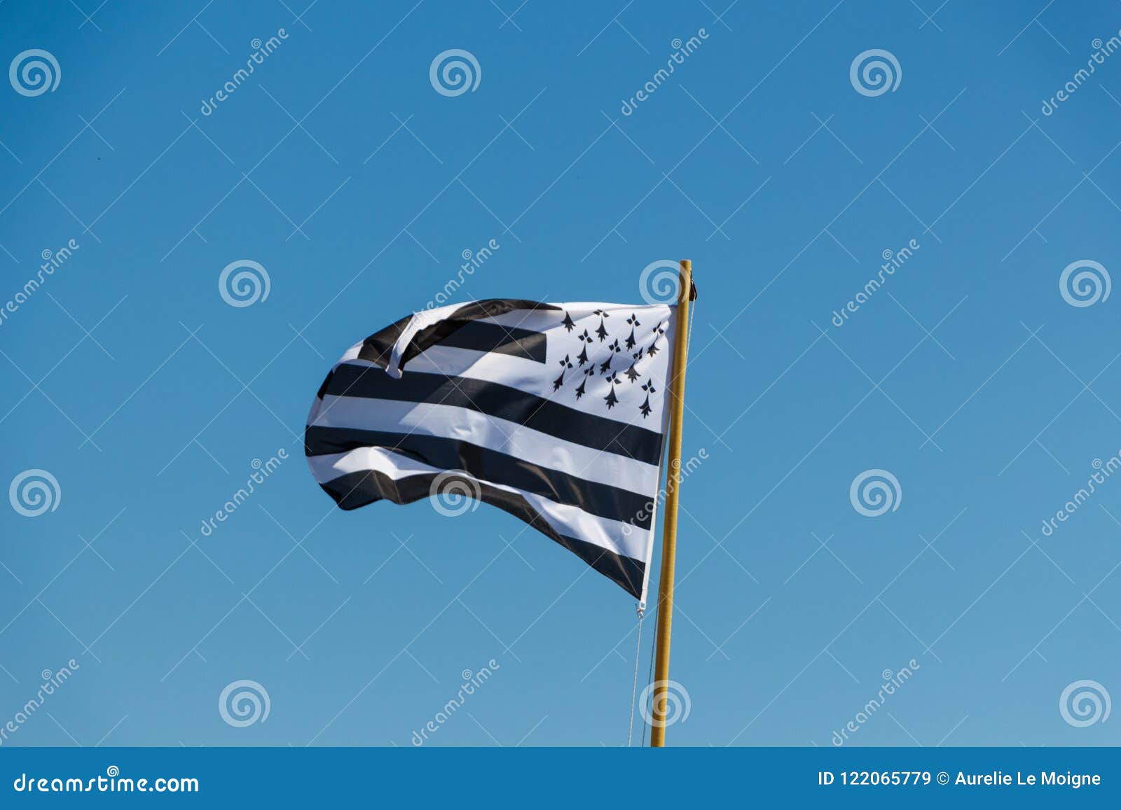 Breton flag stock image. Image of france, breton, color - 122065779