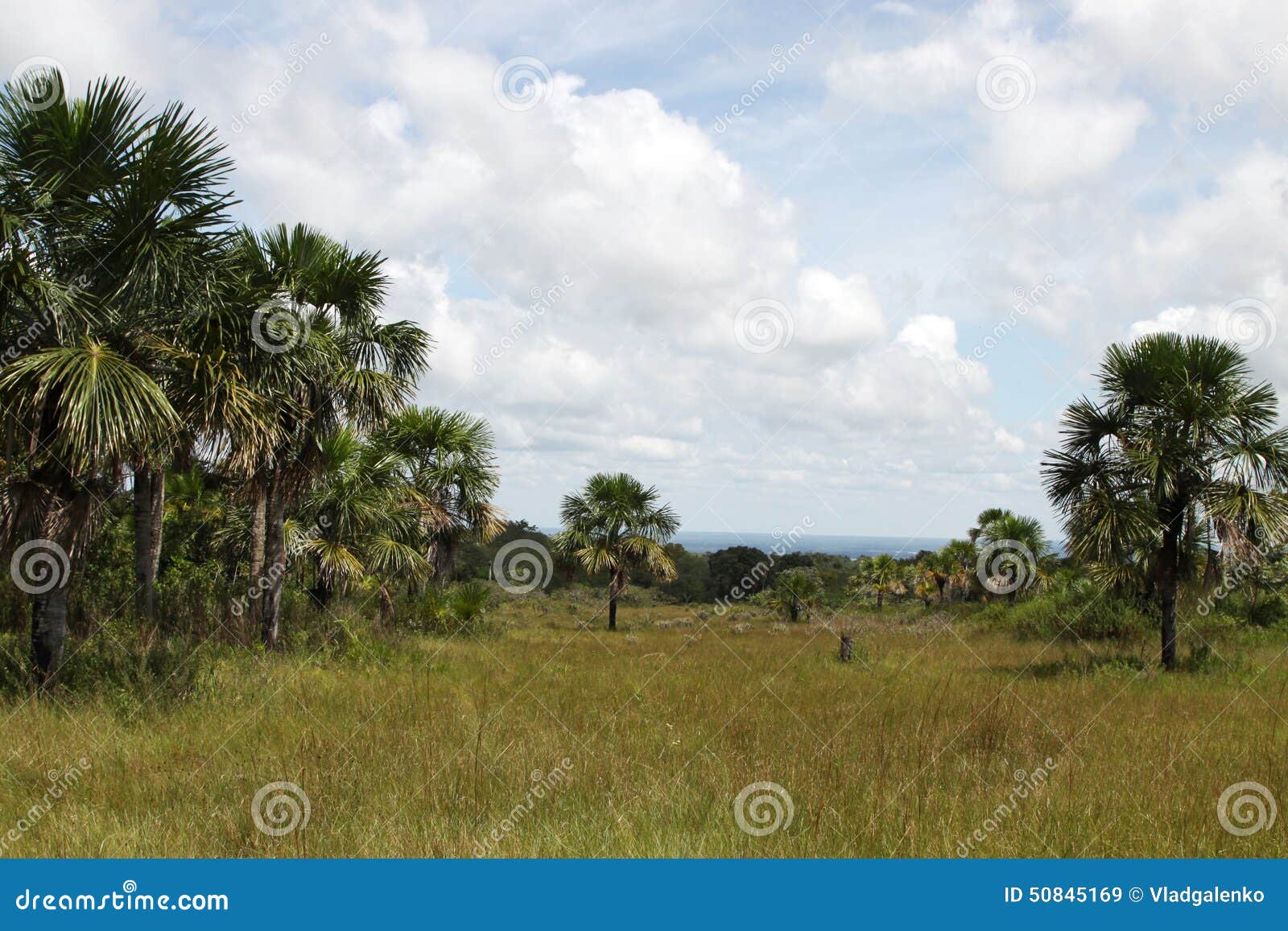 Regiones Del Este De Colombia Imagen de archivo - Imagen de rocoso ...