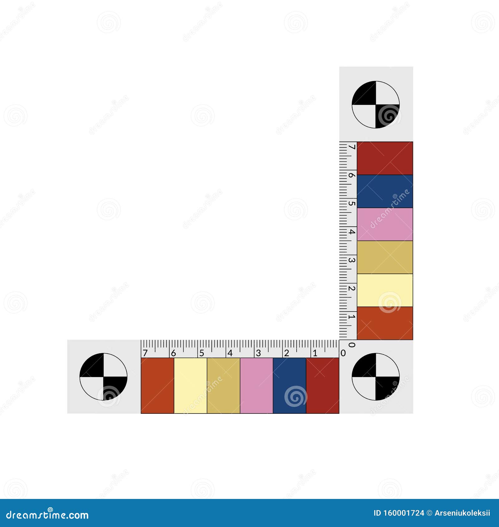 Regla Forense Con Muestras De Color Ilustración del Vector ...