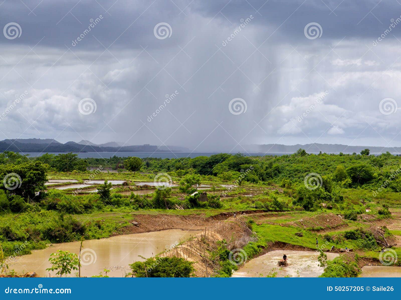 Regn fotografering för bildbyråer. Bild av vatten, regn - 50257205