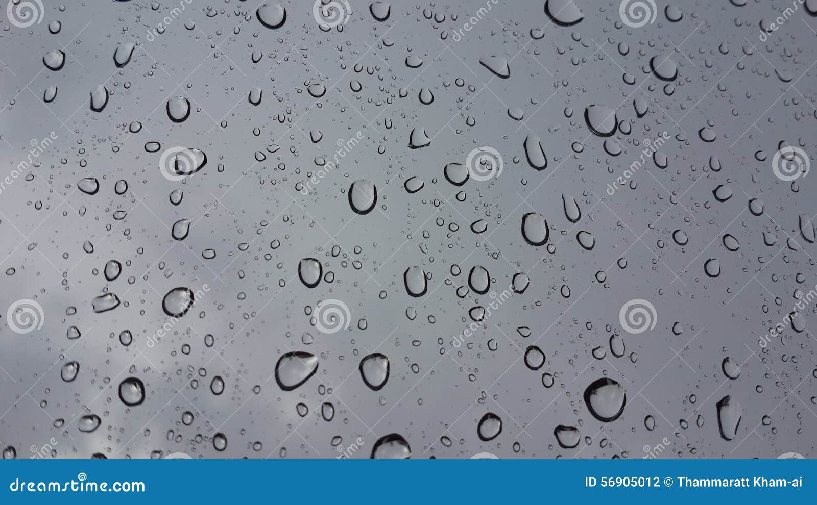 Regnen Sie Tropfen stockfoto. Bild von jahreszeit, tropfen - 56905012