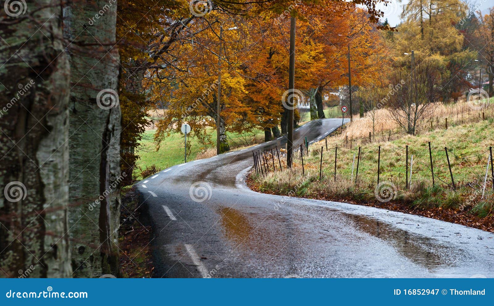 Regnerisches Wetter stockbild. Bild von hintergrund, grün - 16852947