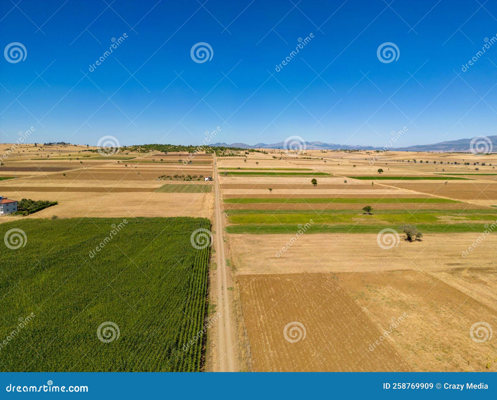 Regular Use of Land in State-sponsored Agricultural Development Zones ...