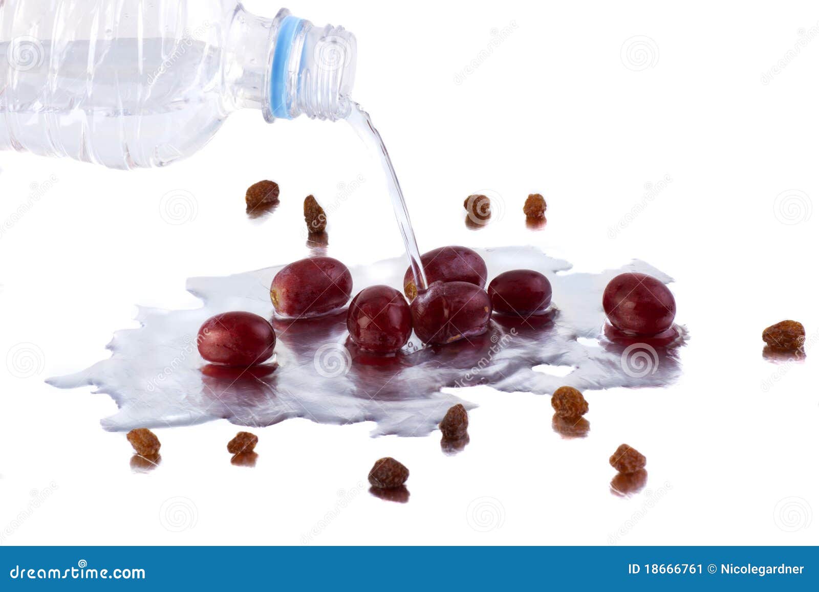 Rehydrated stock image. Image of dried, closeup, isolated - 18666761