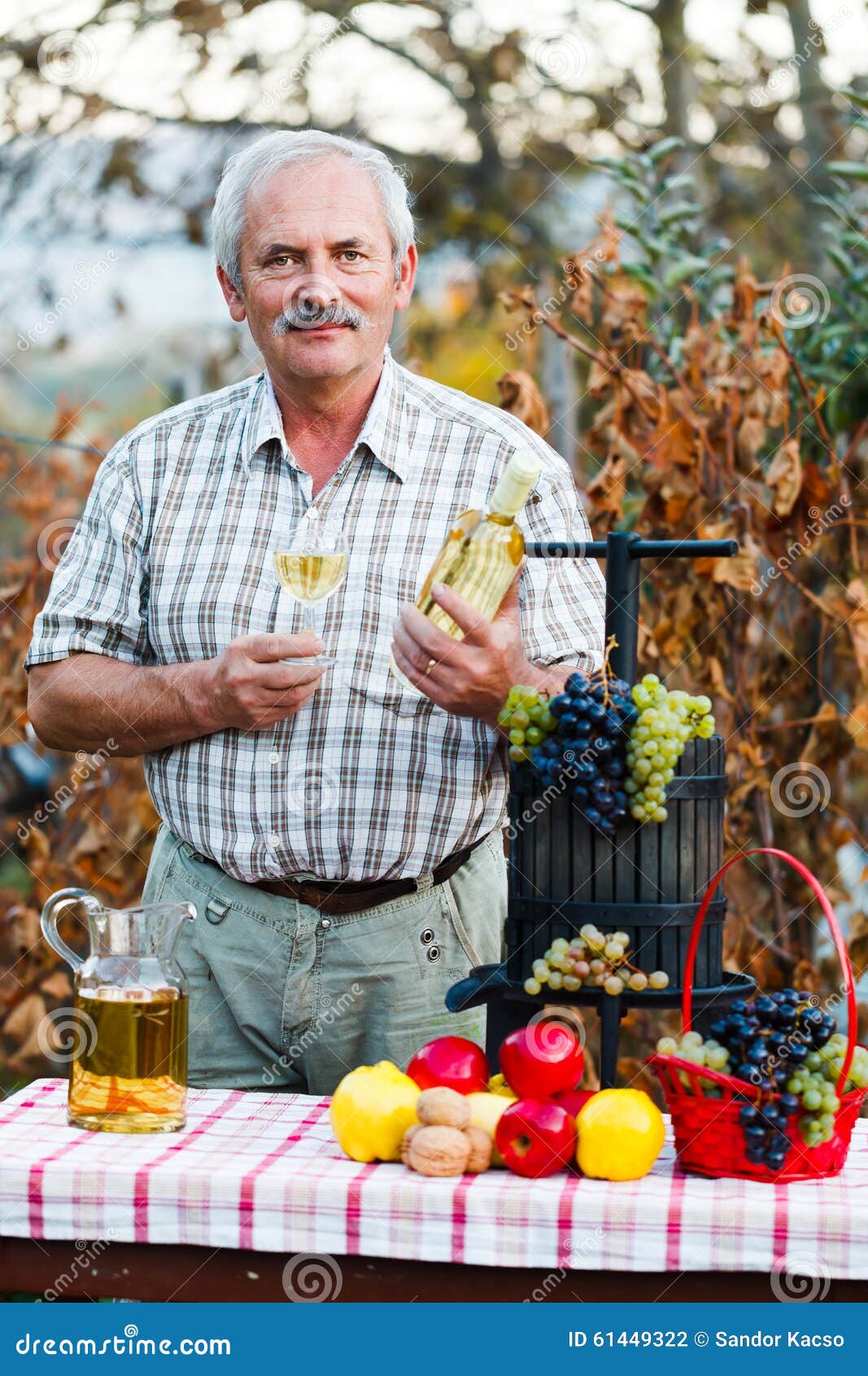 Reiche Ernte stockfoto. Bild von landwirtschaftlich, nave - 61449322