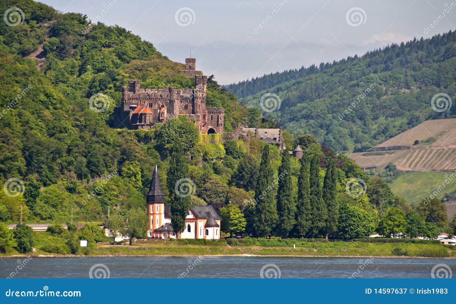 Reichenstein Castle in Famous Rhine Valley Stock Image - Image of rocks ...