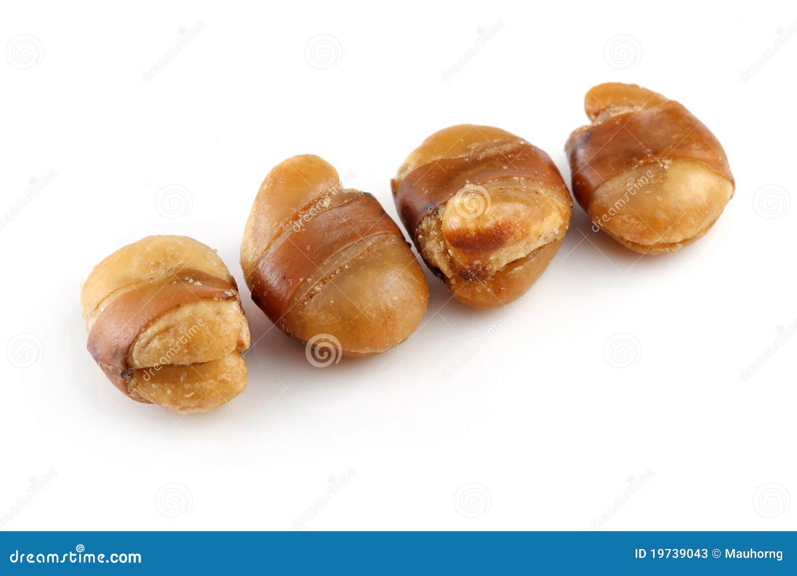 Reife Pferdebohnen stockbild. Bild von bohne, ausgedehnt - 19739043