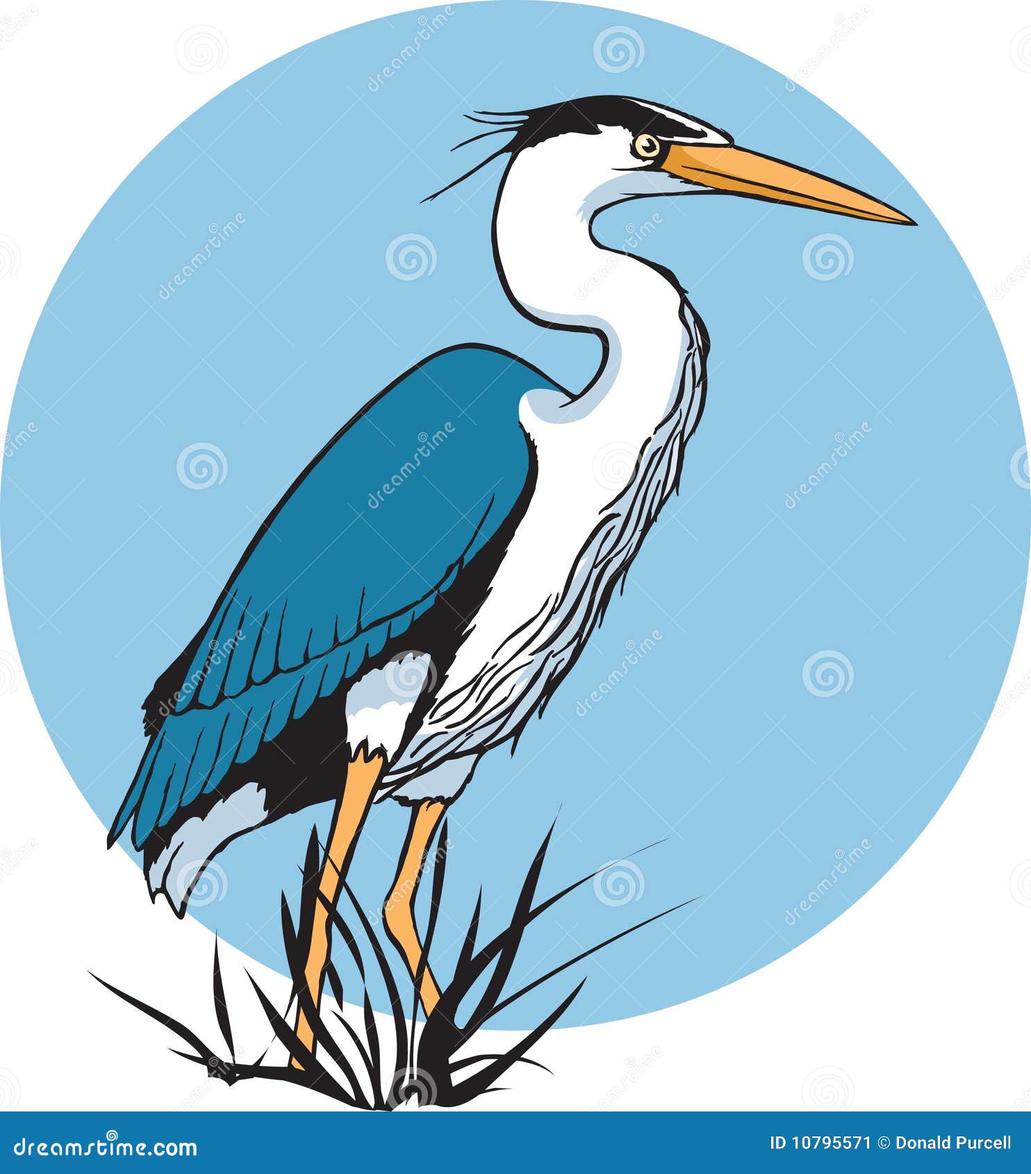 Reiger vector illustratie. Illustration of lopen, buiten - 10795571