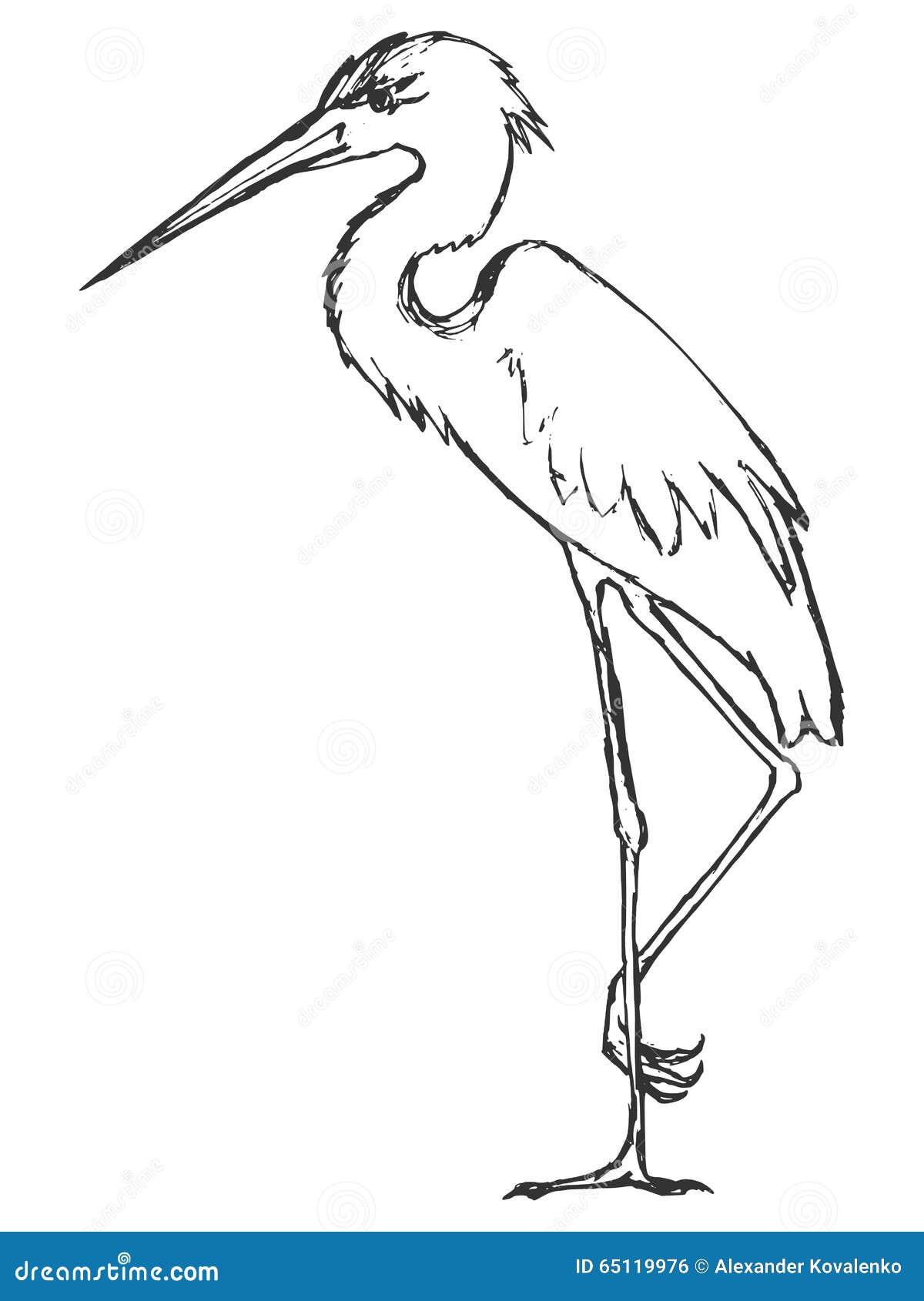 Reiger vector illustratie. Illustration of illustratie - 65119976