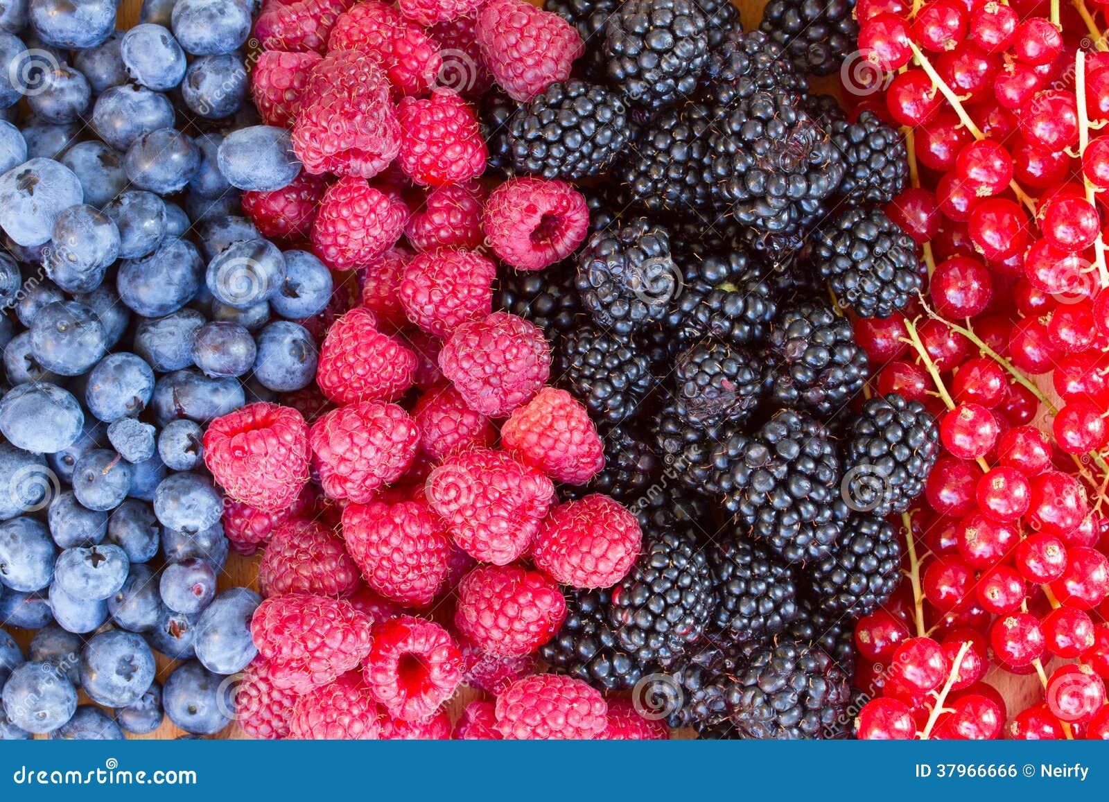 Reihen Von Frischen Beeren Auf Tabelle Stockfoto - Bild von getrennt ...
