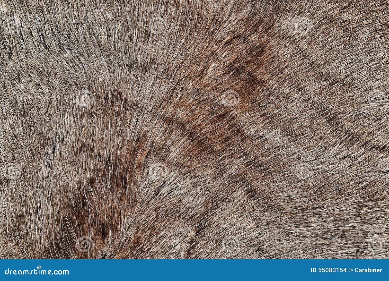 2,678 Reindeer Fur Background Stock Photos - Free & Royalty-Free Stock ...