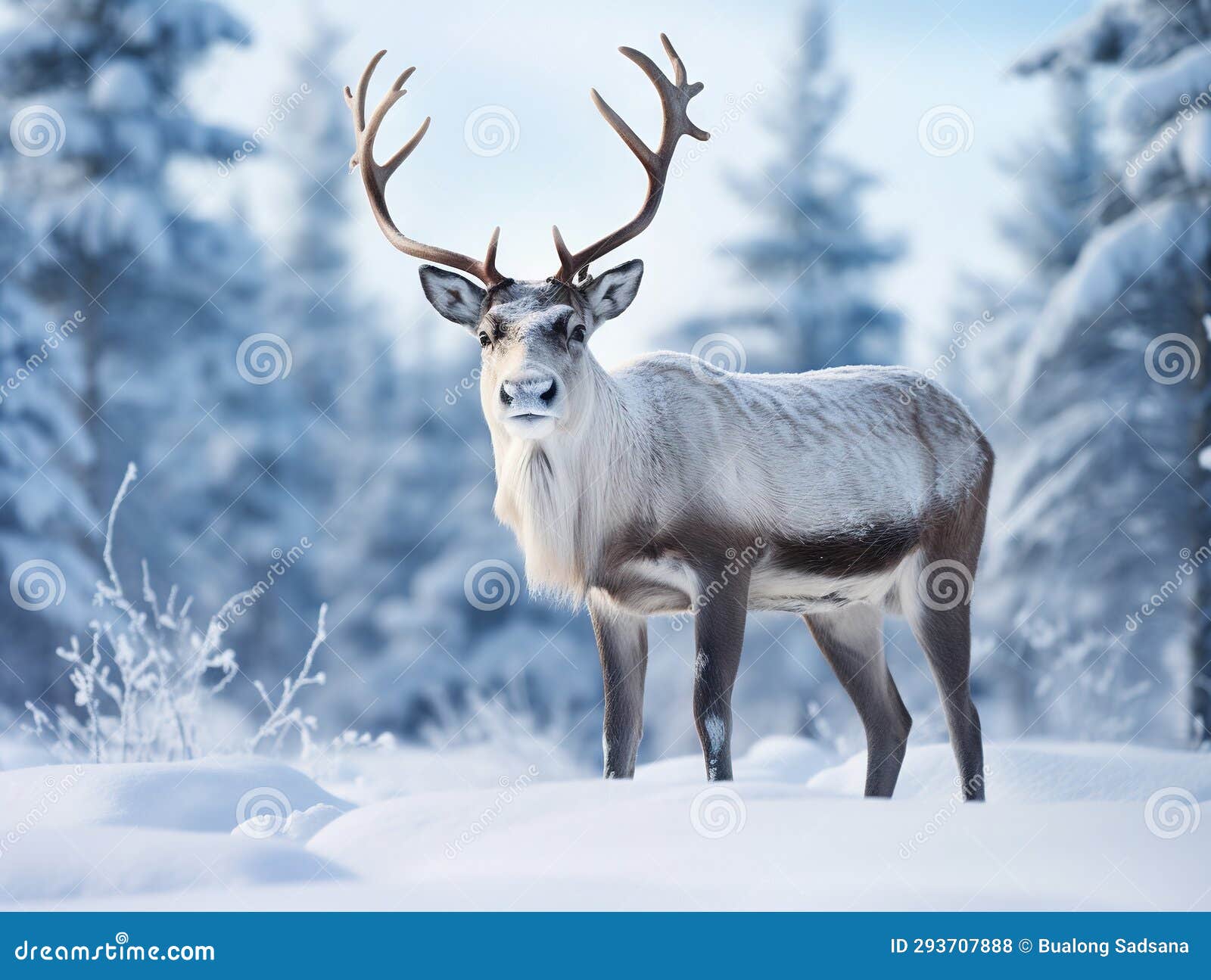 Ai Generated Illustration Wildlife Concept of Reindeer Stock ...