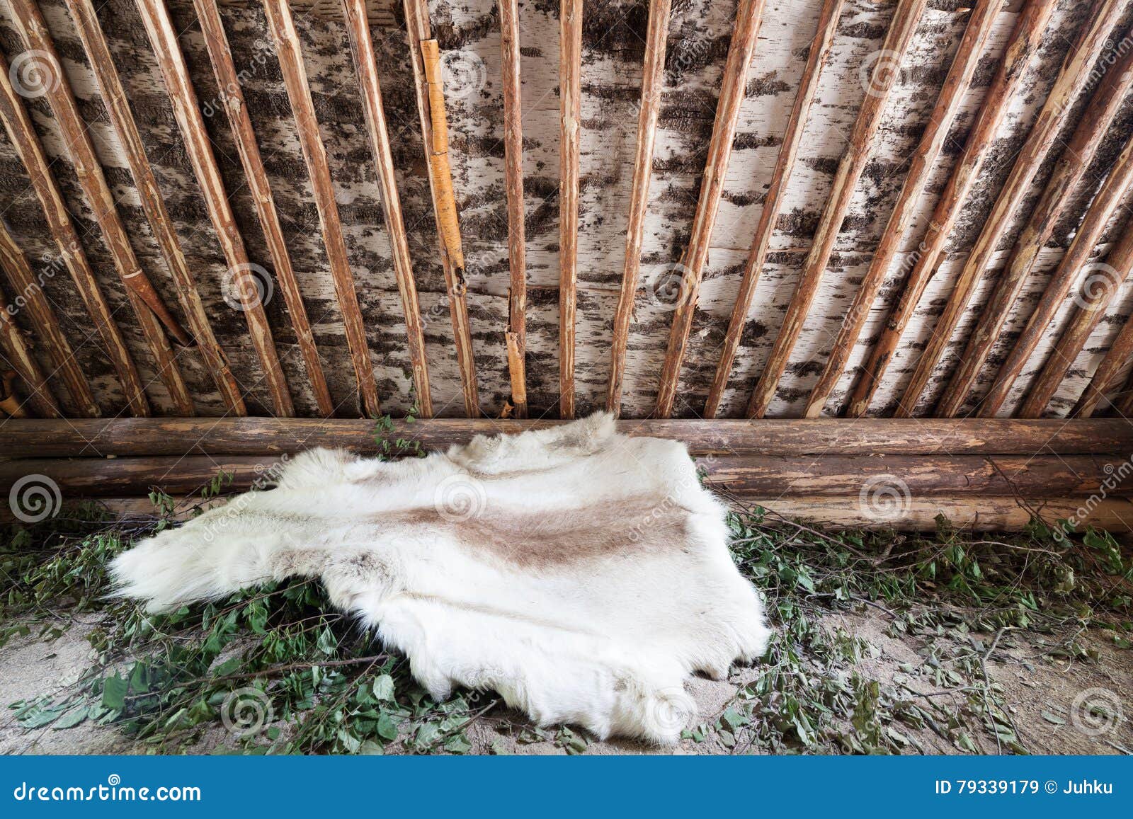 Reindeer Skin in Birch Bark Hut Stock Image - Image of nature, bark ...