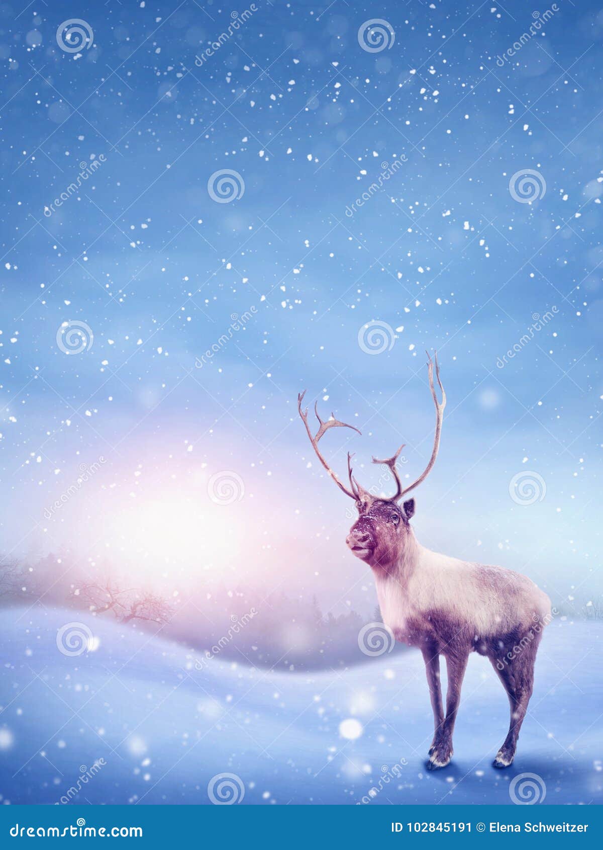 Reindeer in winter stock image. Image of nature, xmas - 102845191