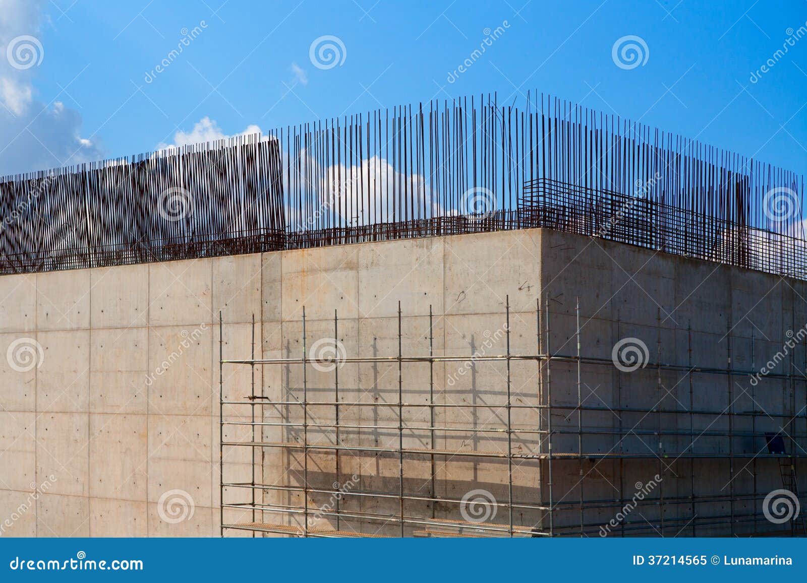 Reinforced Concrete Bridge