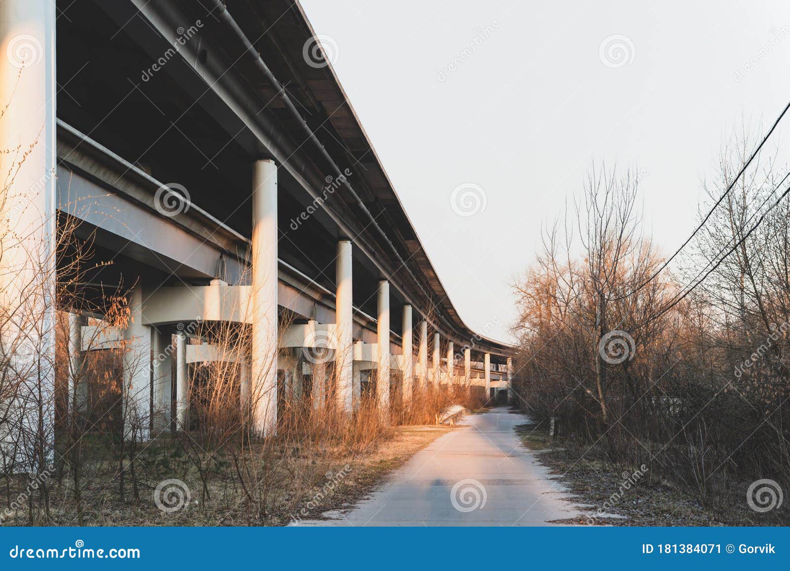 Reinforced Concrete Bridge Bottom View Stock Image - Image of view ...