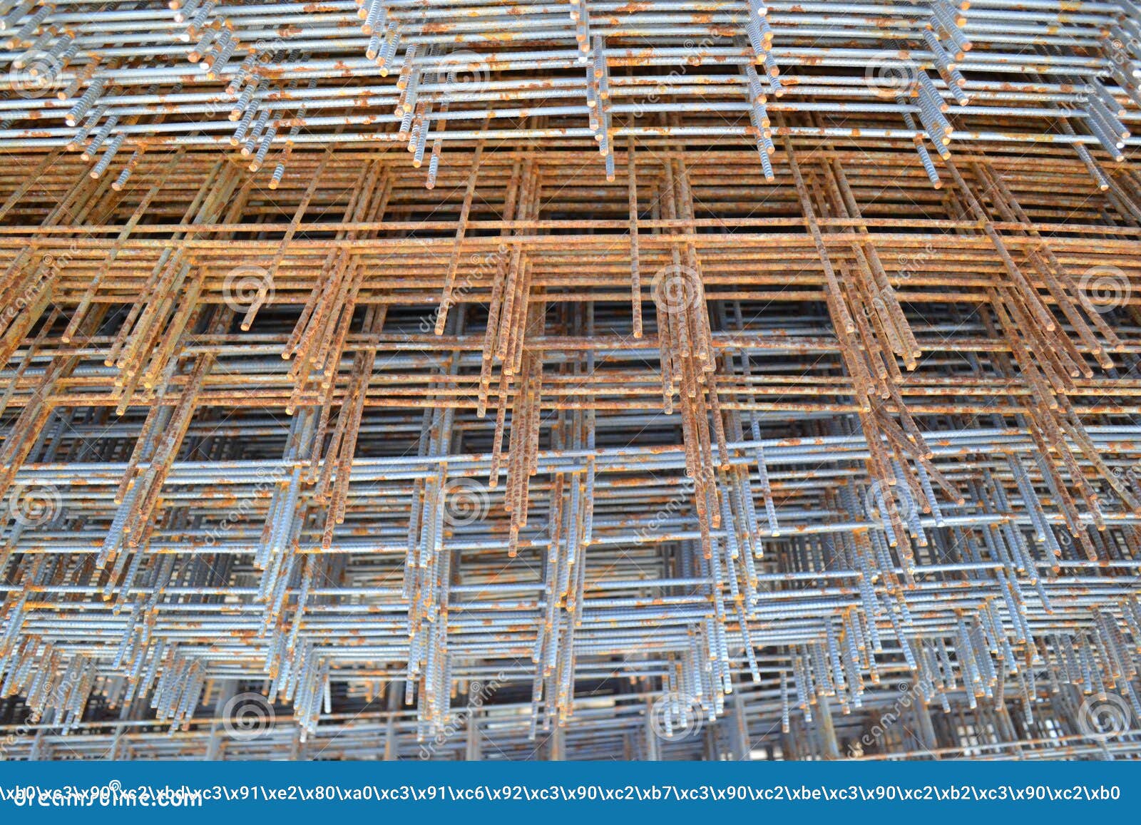 Reinforcement Mesh Stock Photo | CartoonDealer.com #221808294