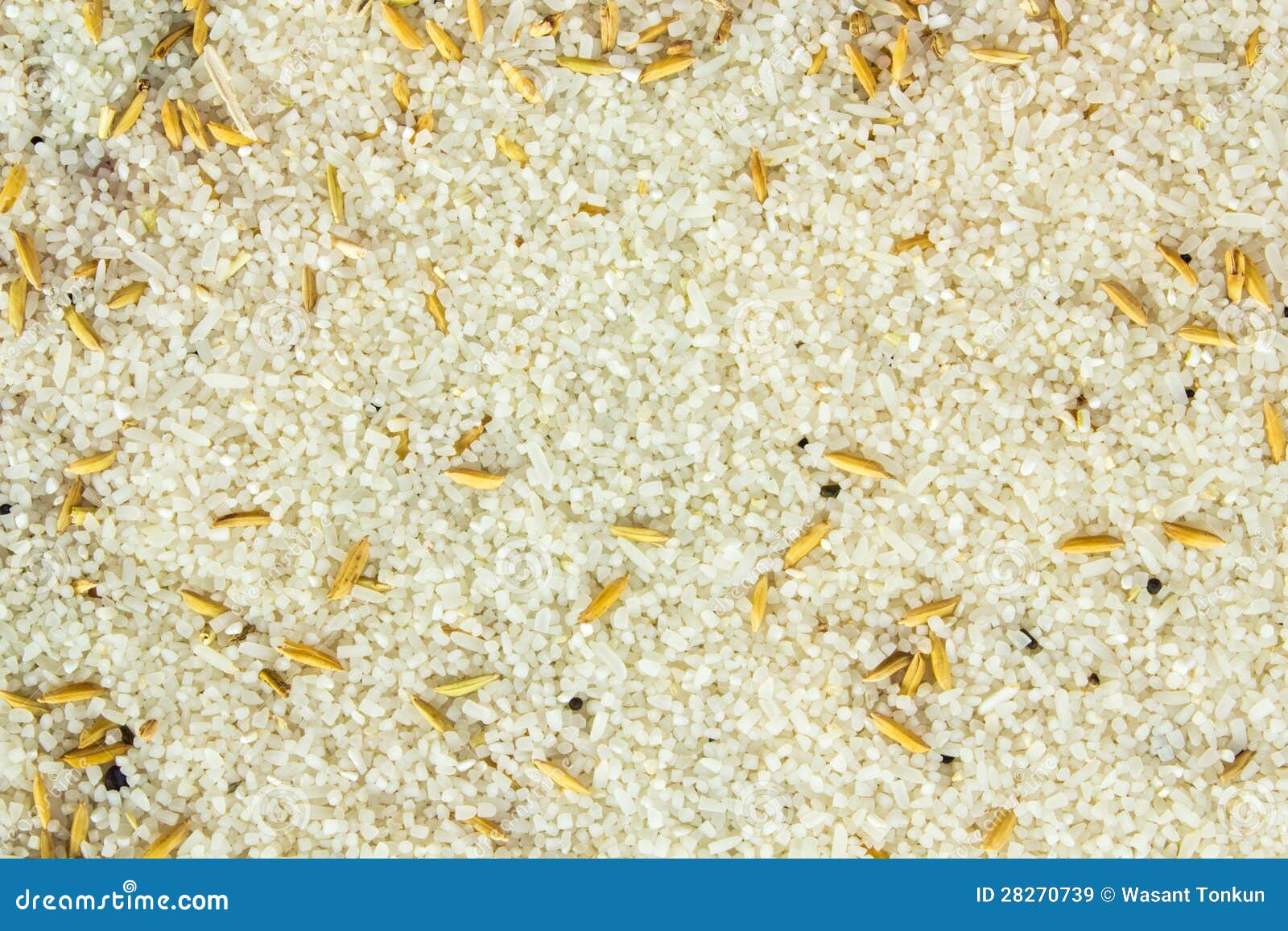 Reis des Asiaten stockbild. Bild von lang, frech, nahrhaft - 28270739