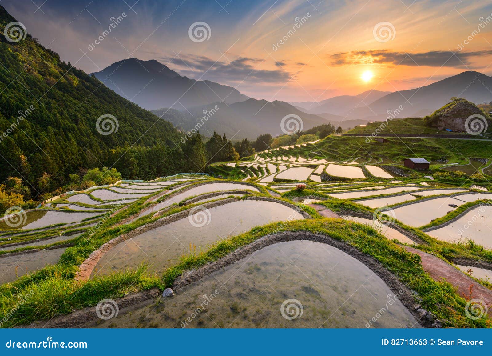 Reis-Terrassen in Japan stockbild. Bild von abend, himmel - 82713663