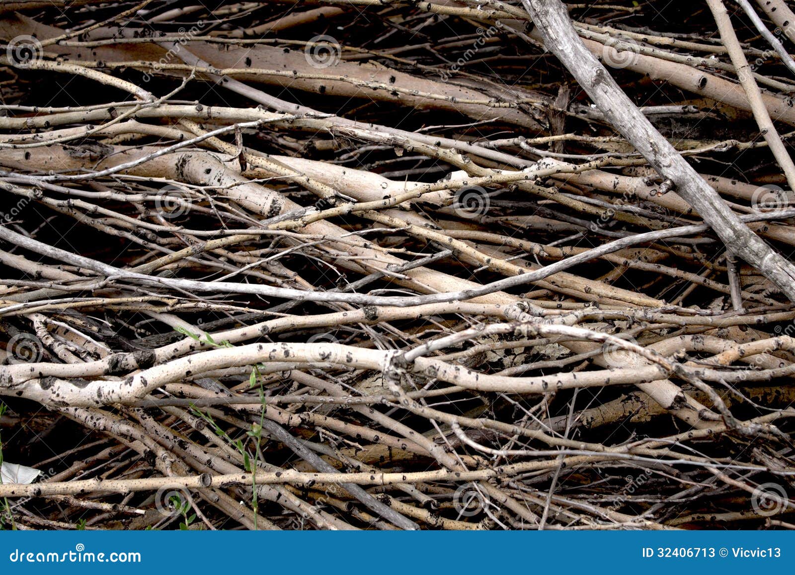 Reisig stockbild. Bild von hintergrund, trocken, holz - 32406713