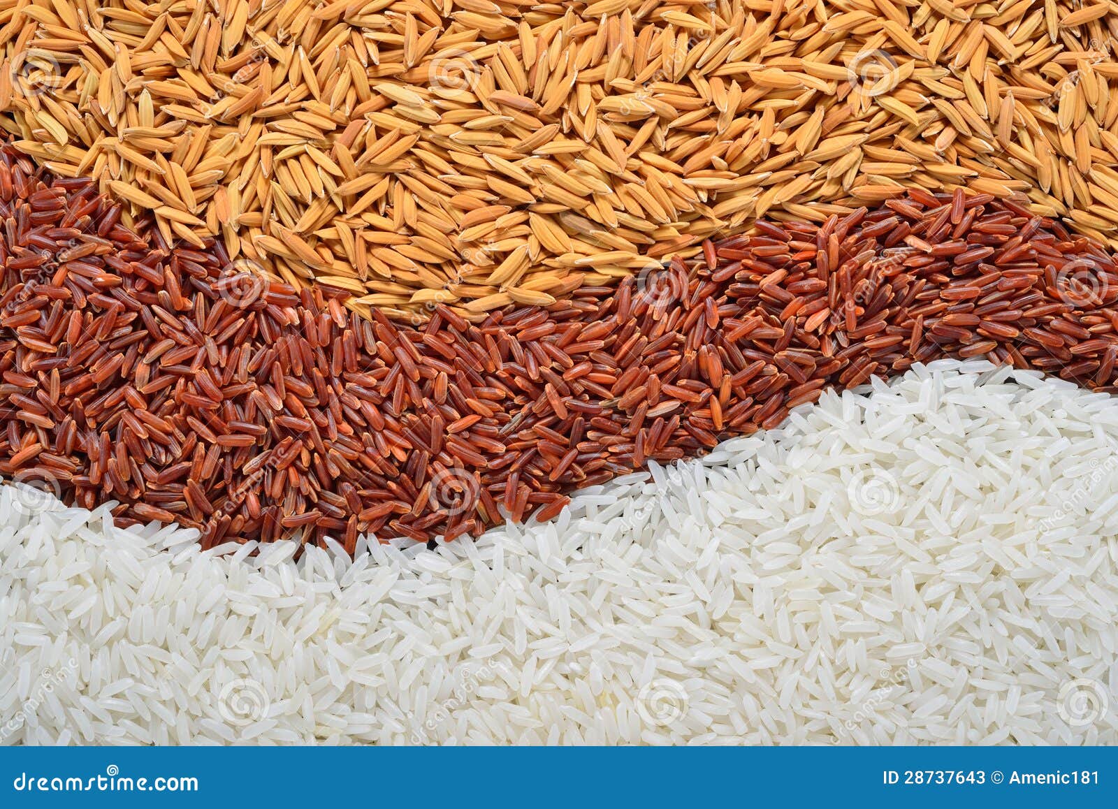 Reiskorn stockbild. Bild von landwirtschaft, abendessen - 28737643