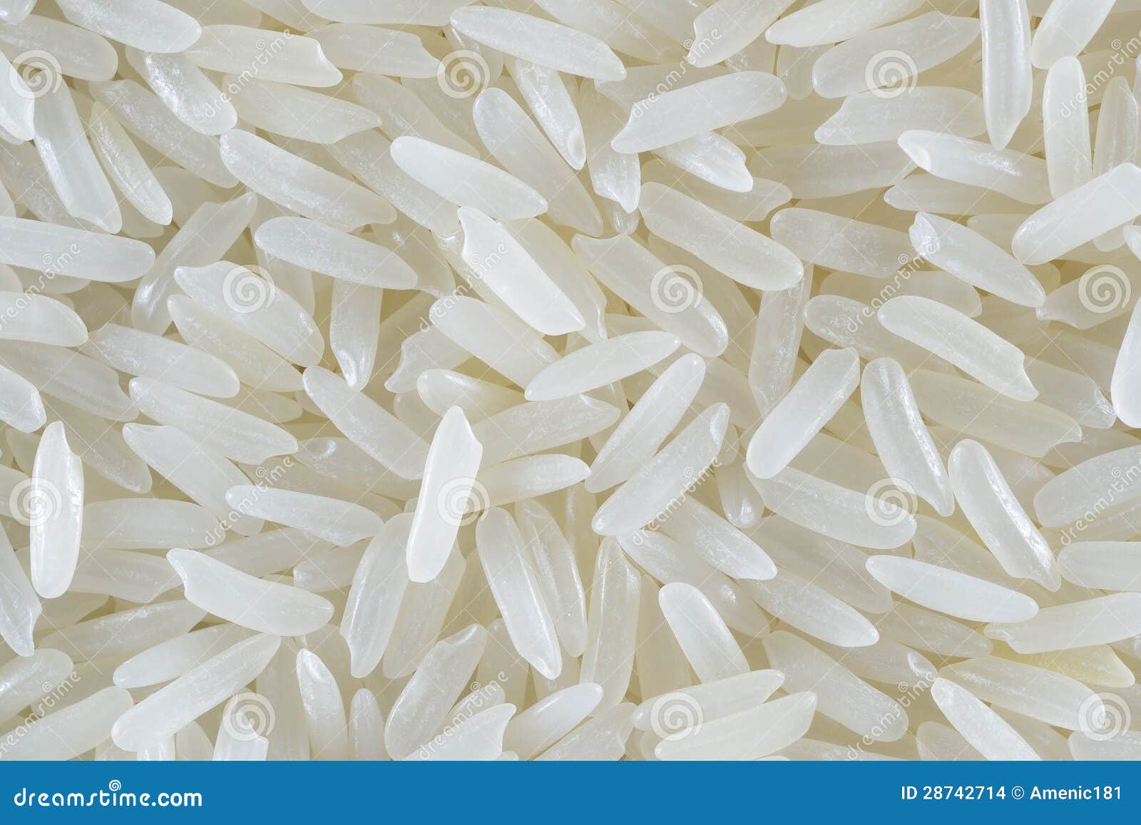 Reiskorn stockfoto. Bild von trocken, saatgut, organisch - 28742714