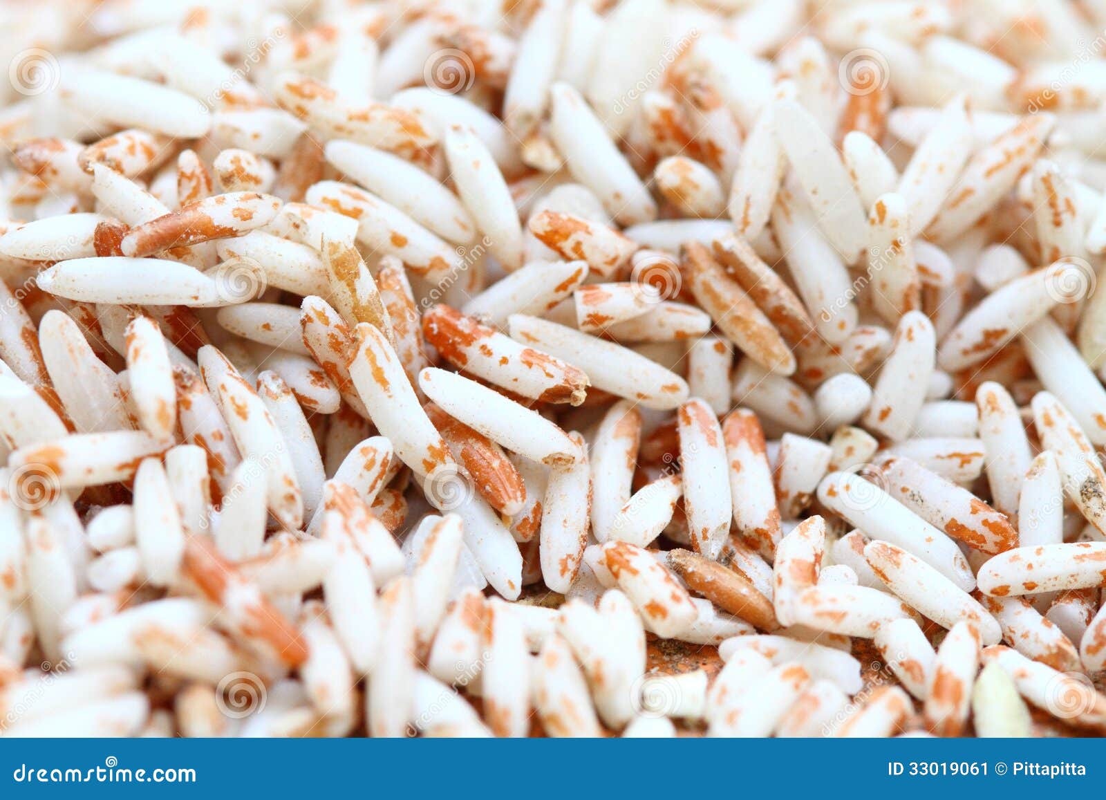 Reiskorn stockbild. Bild von bestandteil, saatgut, energie - 33019061