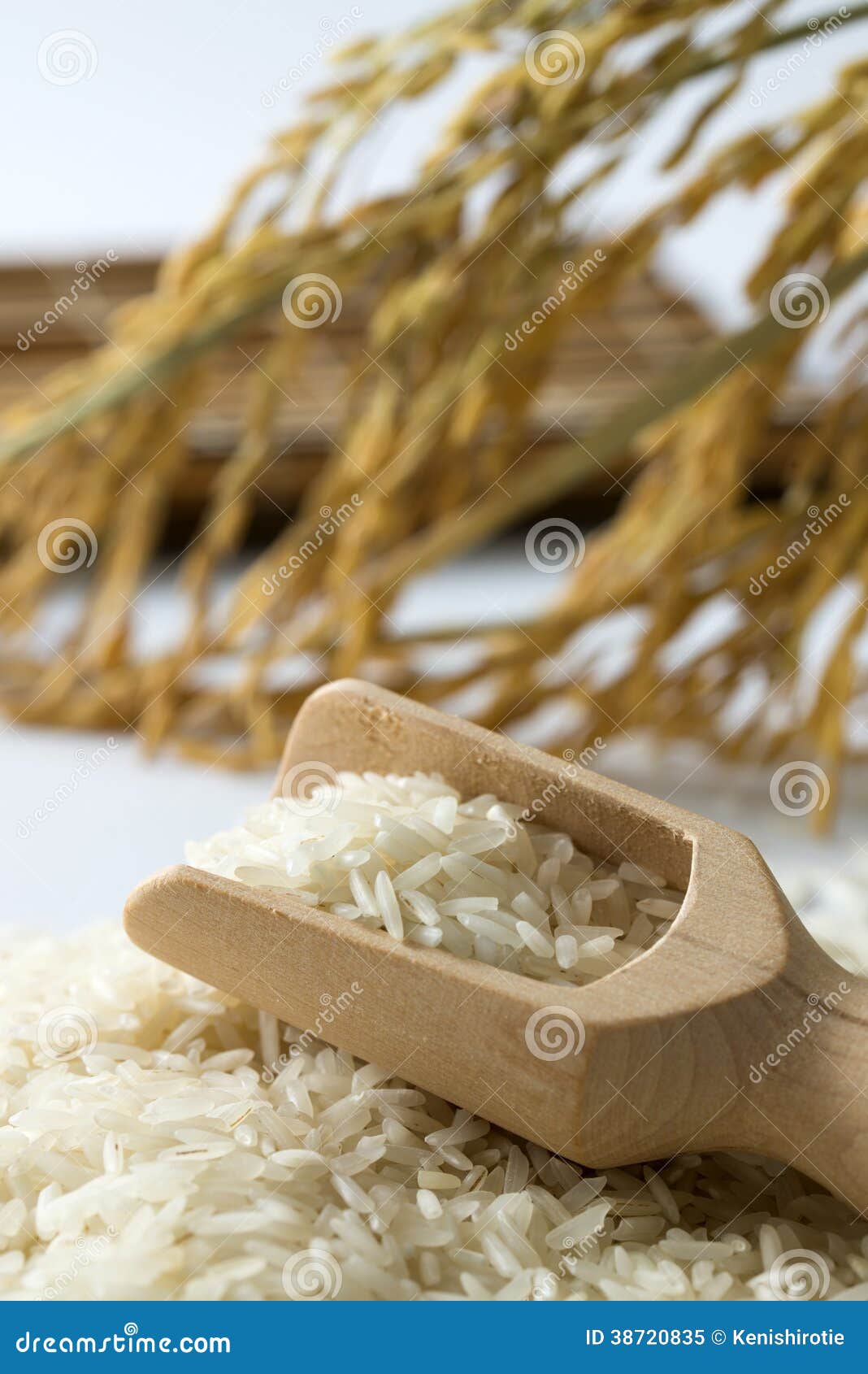 Reiskorn stockbild. Bild von frech, schüssel, bestandteile - 38720835