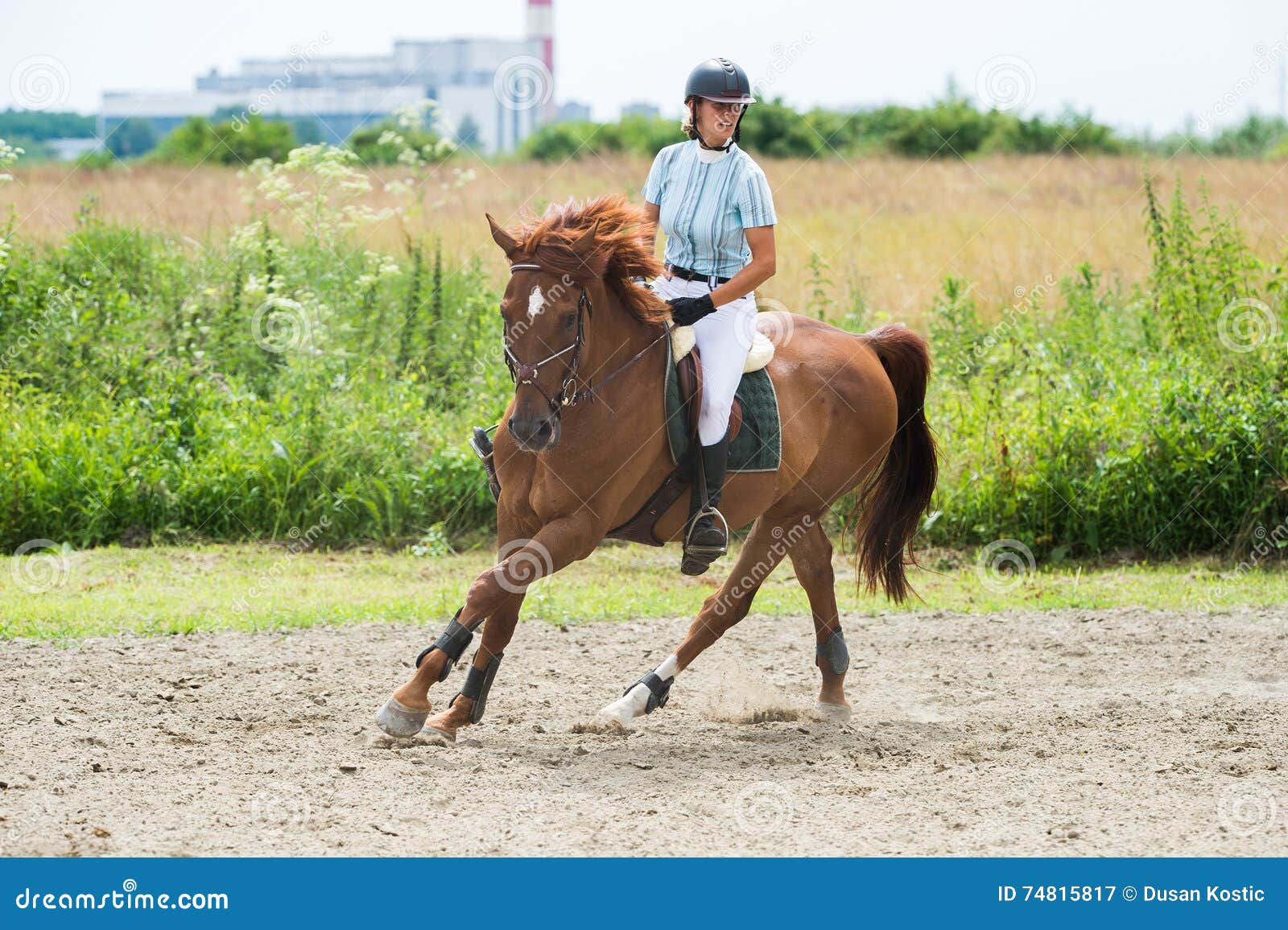 Reitersporte, Springendes Pferd, Show-Springen Stockbild - Bild von ...