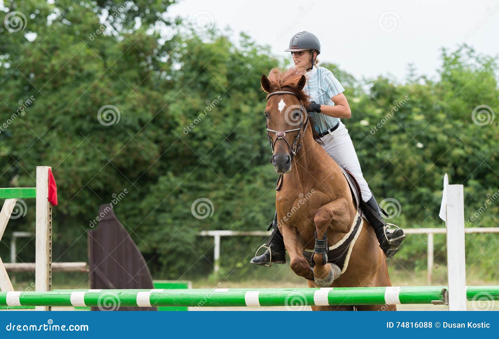 Reitersporte, Springendes Pferd, Show-Springen Stockfoto - Bild von ...