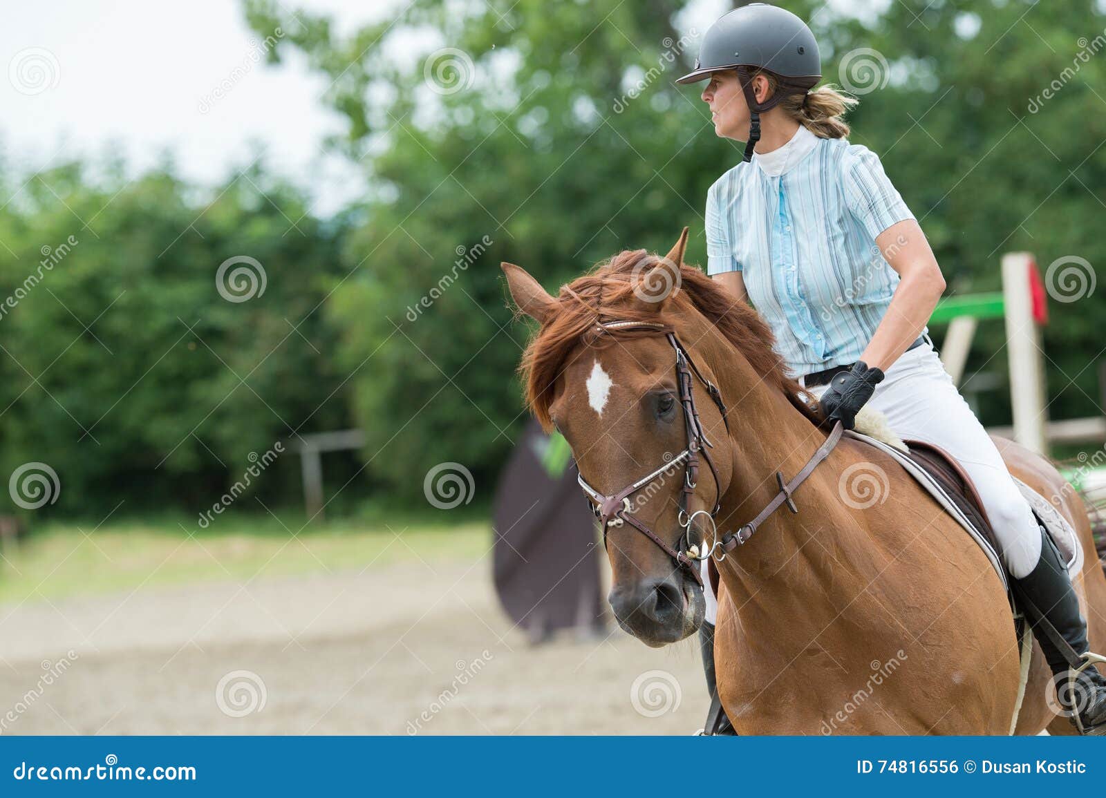 Reitersporte, Springendes Pferd, Show-Springen Stockfoto - Bild von ...