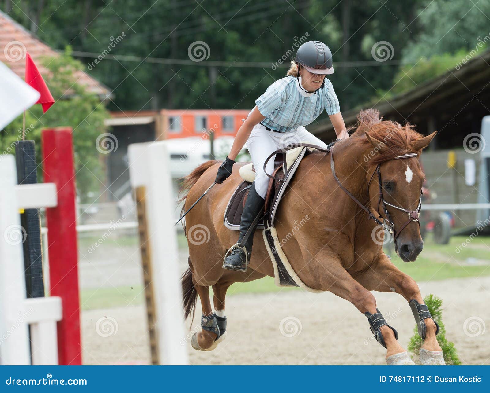 Reitersporte, Springendes Pferd, Show-Springen Stockfoto - Bild von ...