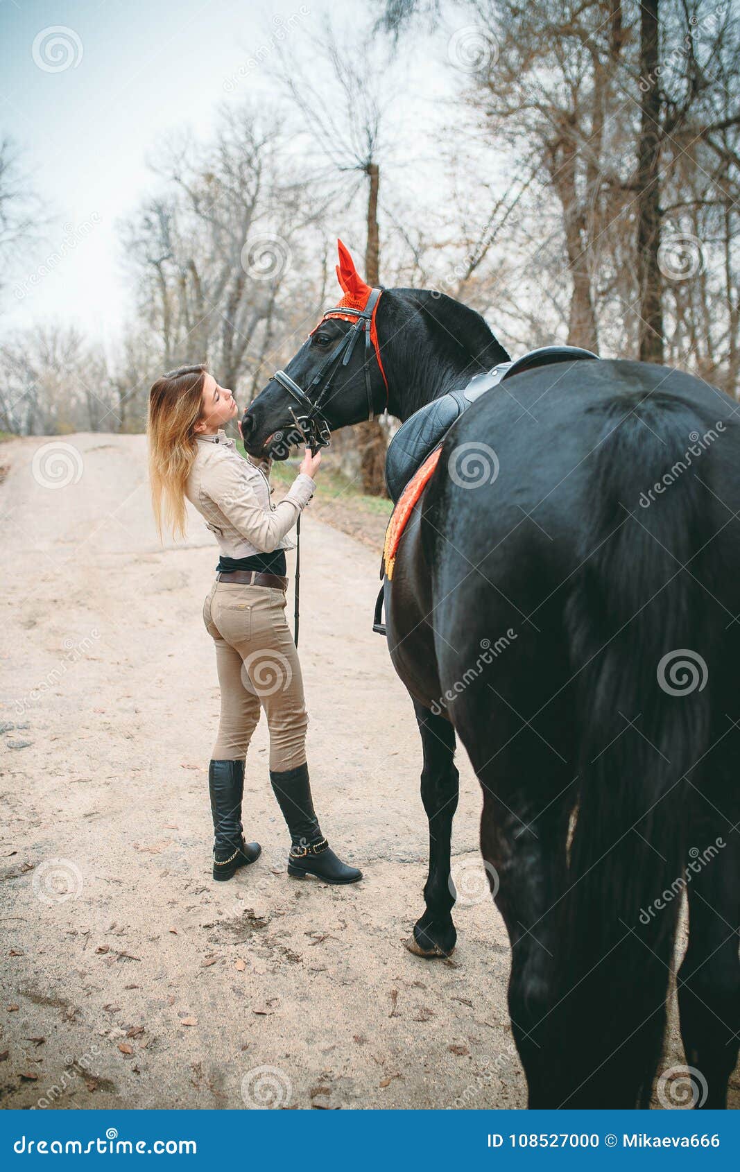 Reizende Junge Frau Mit Einem Pferd Stockfoto - Bild von reiterin, gold ...