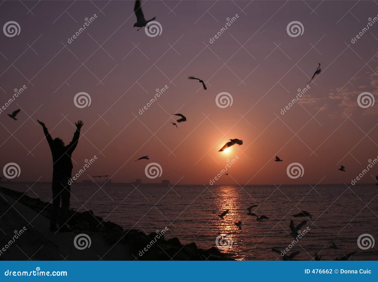 Rejoice stock photo. Image of delighted, rejoice, celebrate - 476662